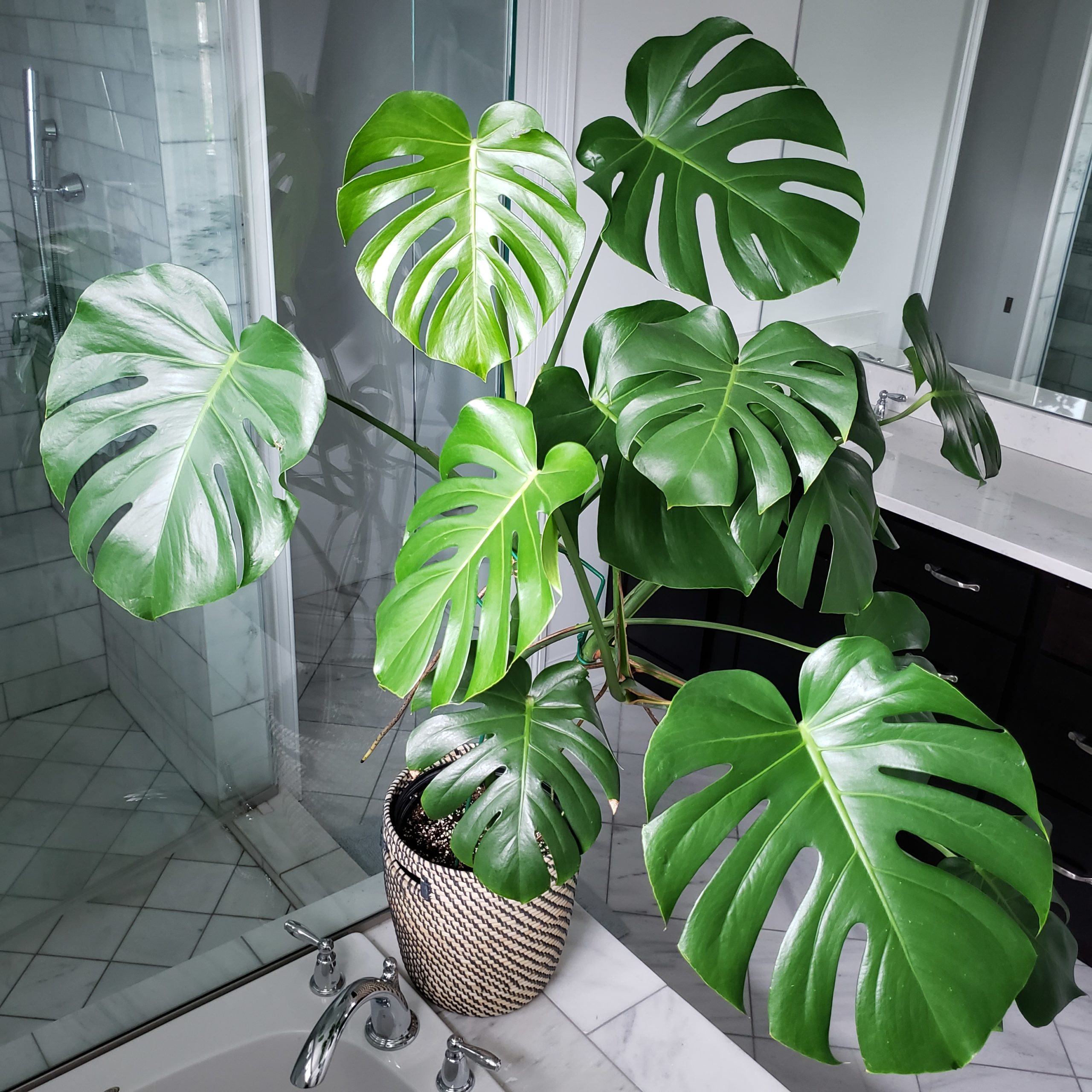 PlantCare Community - Growth Journal & Seed Trading
